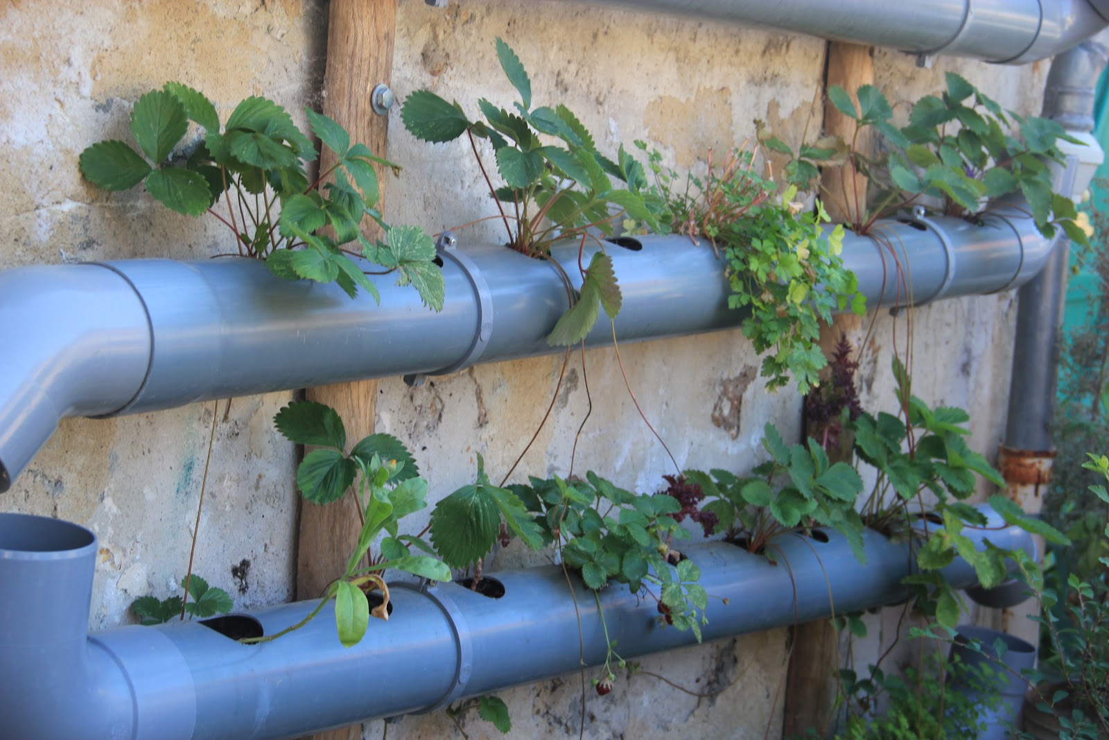 ΚΑΘΕΤΟΙ ΚΗΠΟΙ :: Σκόρπιες-σκέψεις